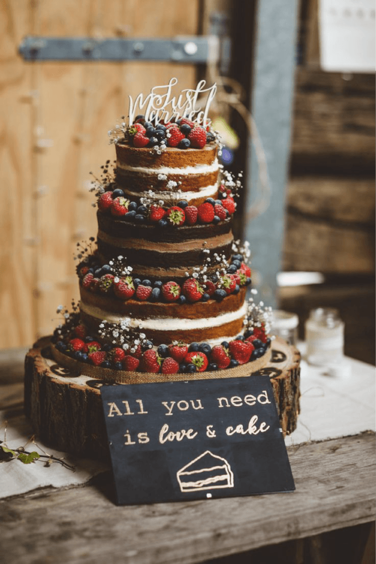 16 Rustic Country Wedding Cake Ideas to Get You Inspired - Knot & Plot